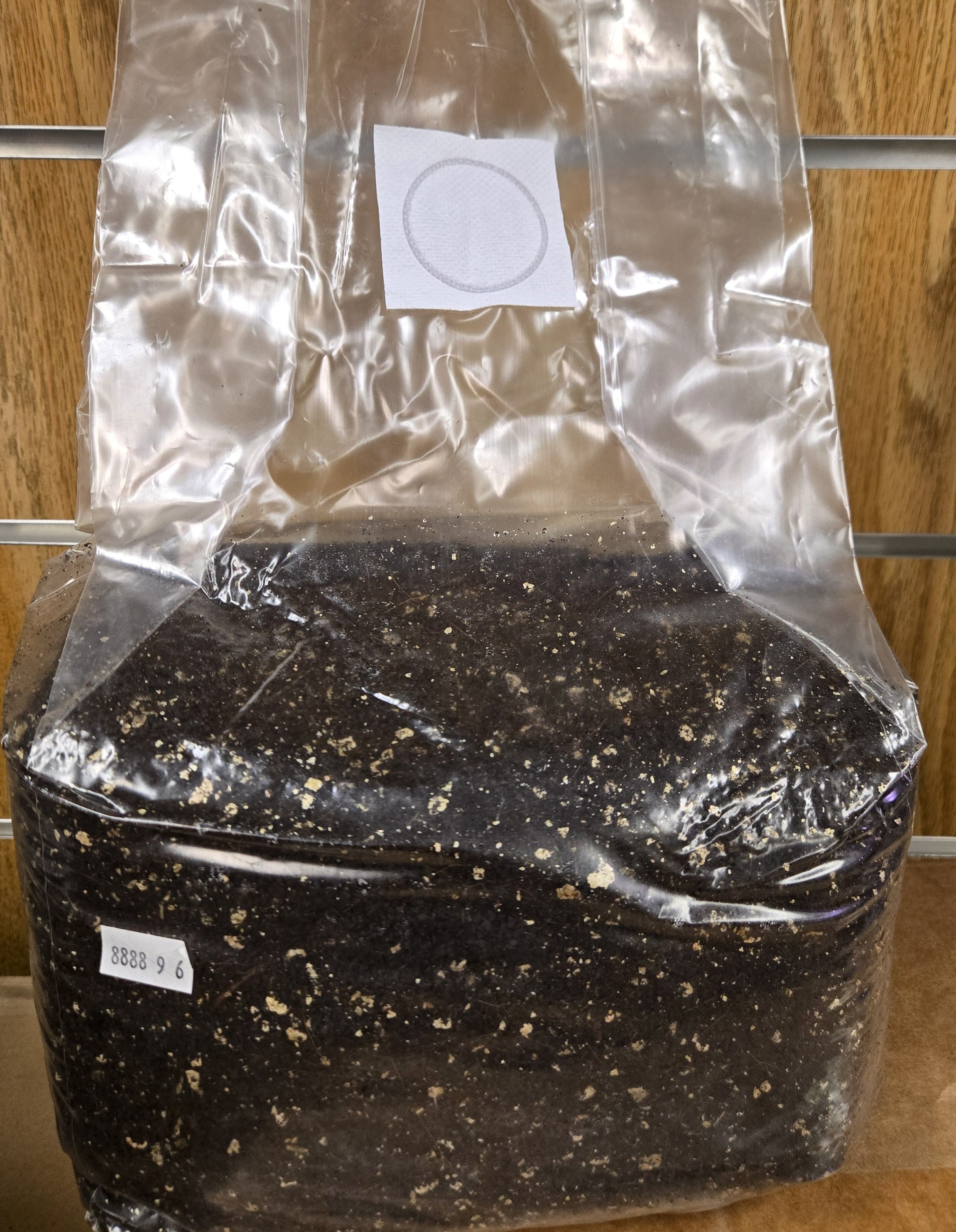 LeveUp Mycology - 5lb CVG substrate – LevelUp Seed & Garden Supply